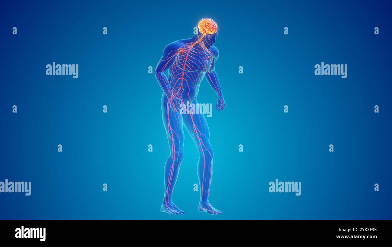 Progressive Central Nervous System Degeneration or Parkinson's disease ...