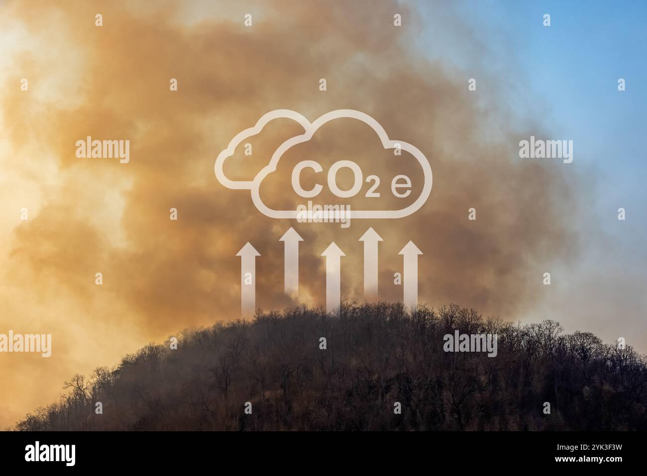 Climate change, Tropical wildfires release carbon dioxide (CO2 ...