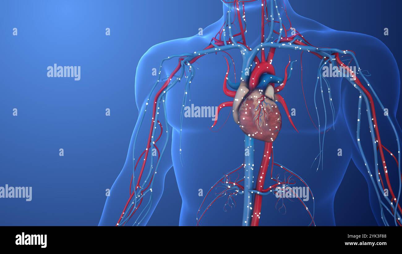 Diabetes risks to peripheral neuropathy Stock Photo - Alamy