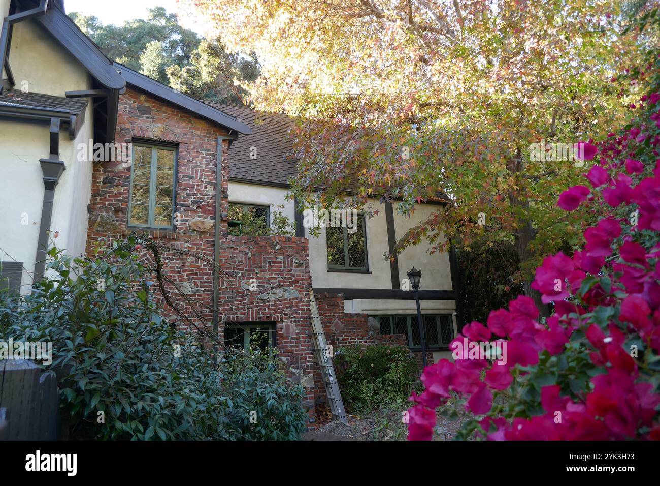 Los Angeles, California, USA 16th November 2024 Singer Charlie XCX ...