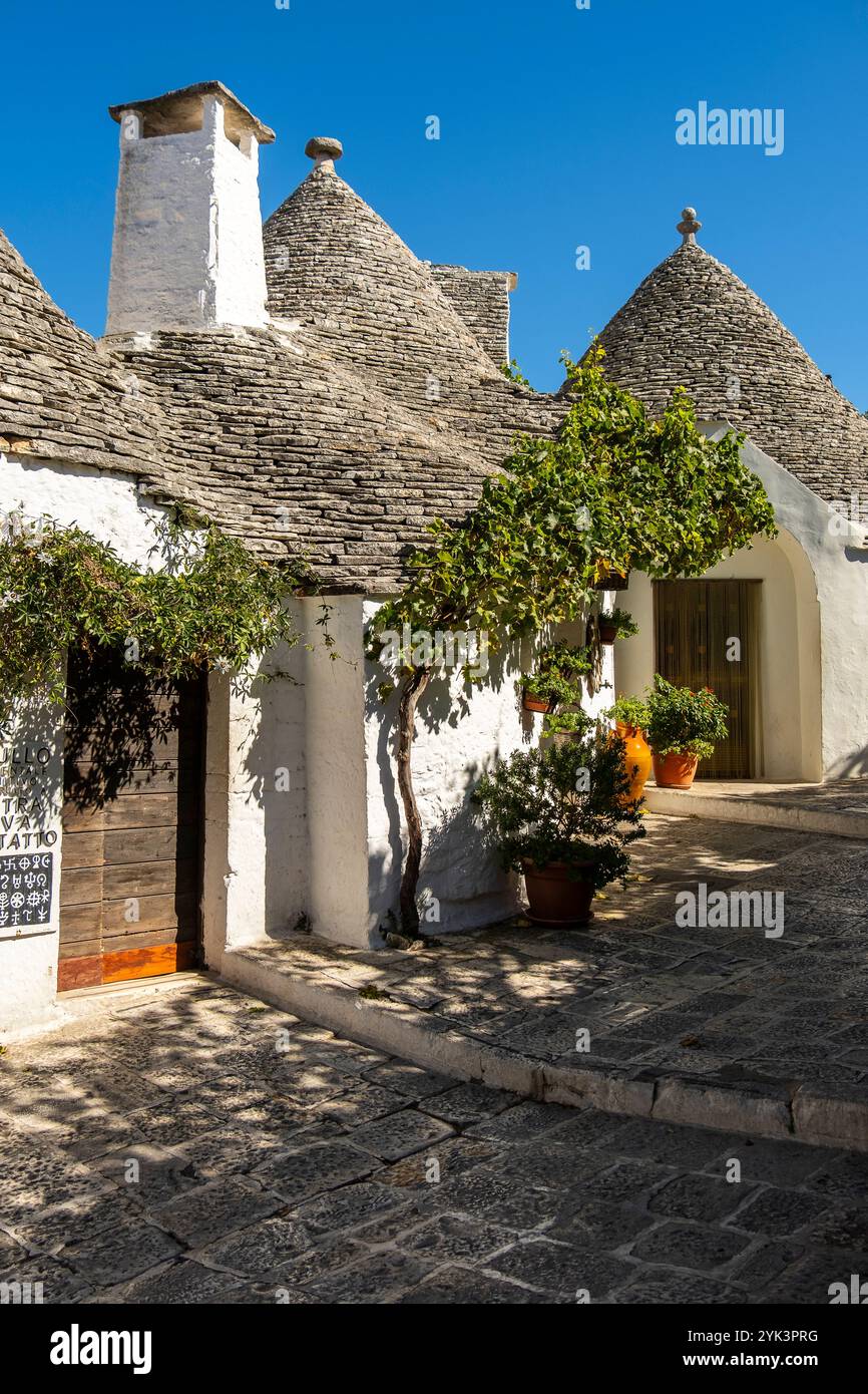 Charming streets full of trulli houses, plants and flowers in ...