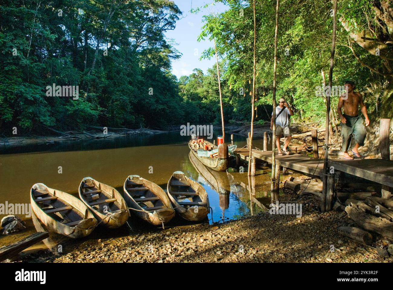 pirogues on the Kourou river,French Guiana,overseas department and ...