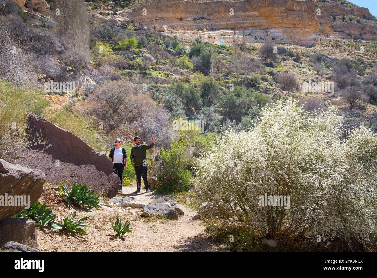 Walk around the Dana village, Dana Biosphere Reserve, Jordan, Near East ...