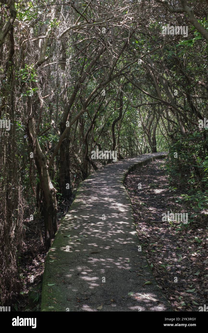 Peaceful trail hi-res stock photography and images - Alamy