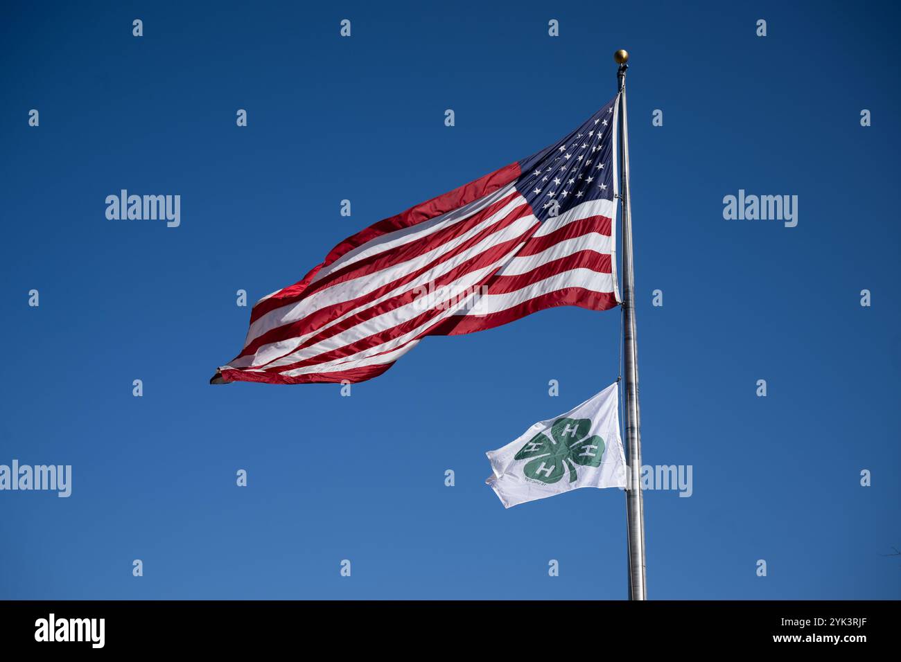 Flag of the United States. The national flag of the United States ...