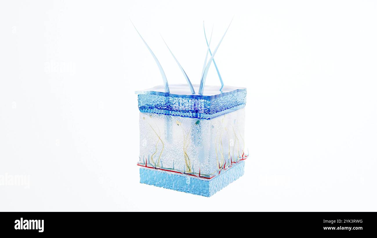 Glass skin serum structure cell 3d render Stock Photo - Alamy