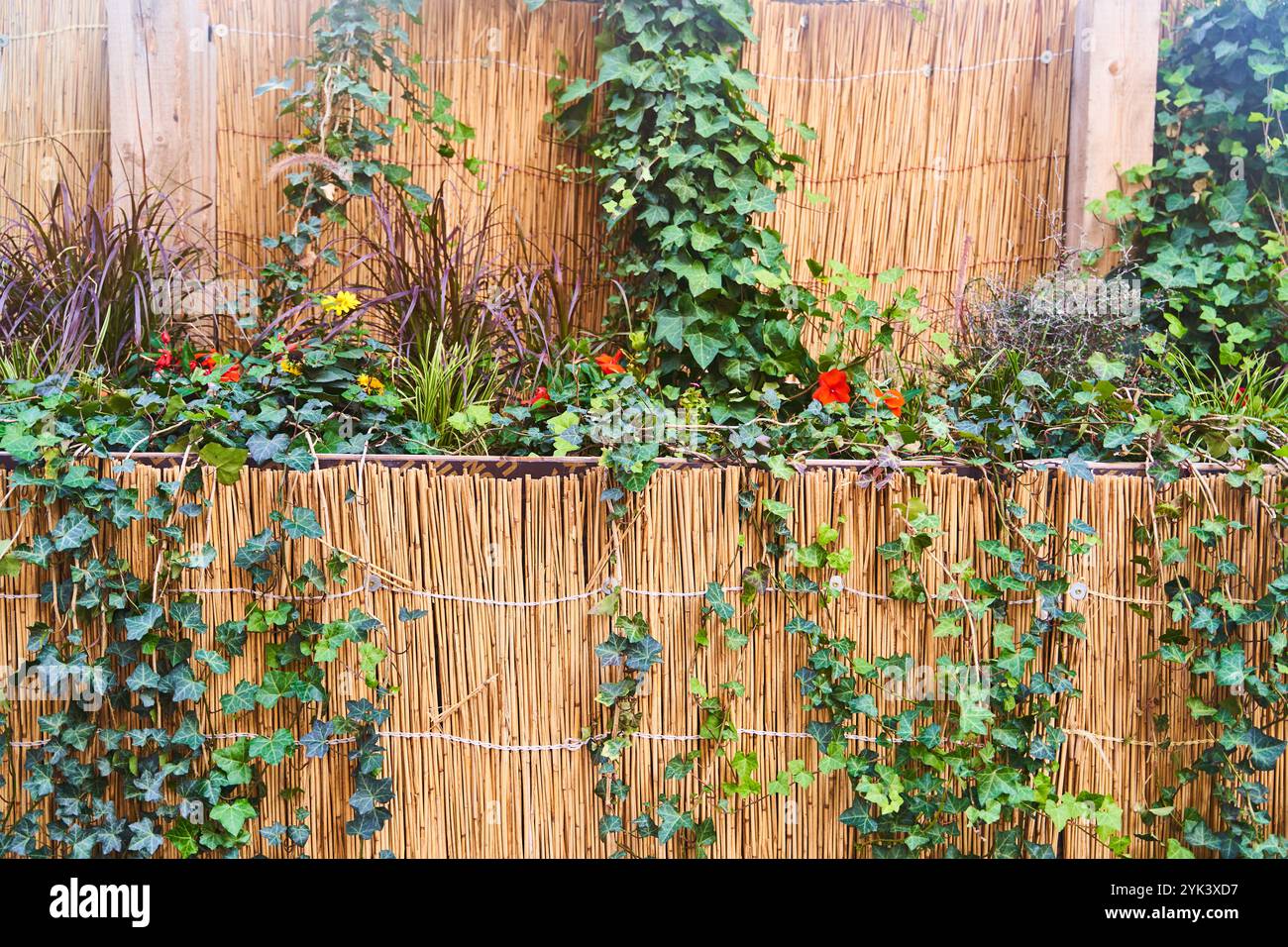 Creating stunning floral displays hi-res stock photography and images ...