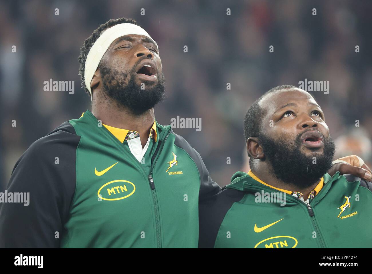 Ox nche sharks hi-res stock photography and images - Alamy