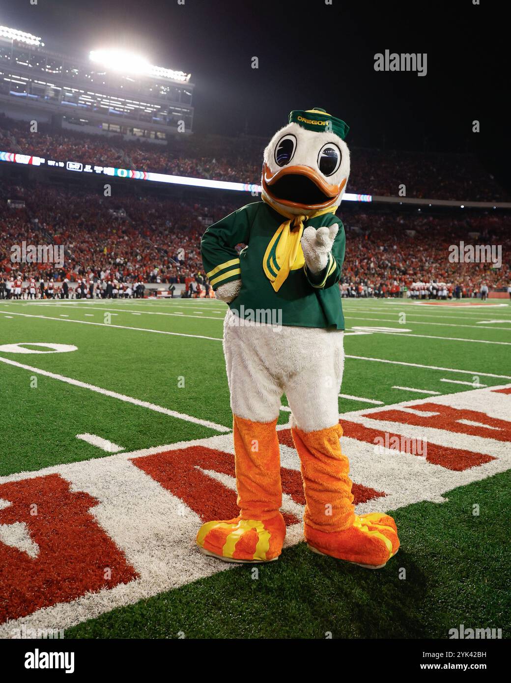 Madison, WI, USA. 16th Nov, 2024. Oregon Ducks mascot Duck during the ...