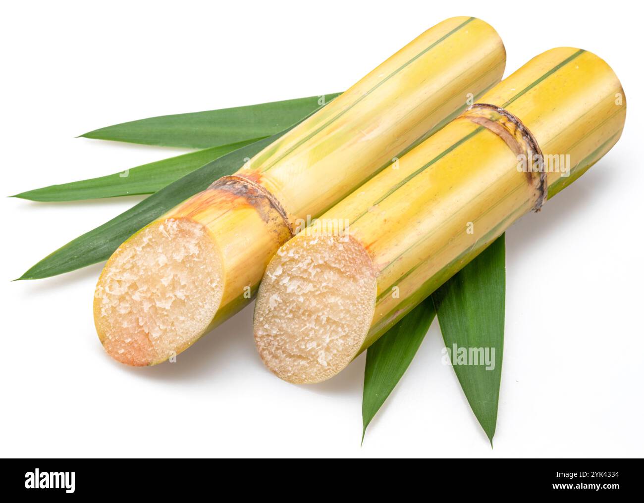 Sugarcanes stalks with sugar cane leaves isolated on white background ...