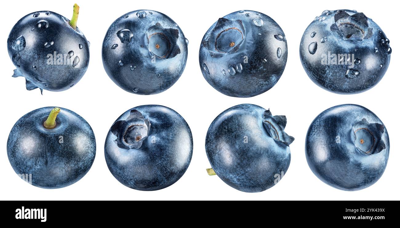 Set of eight ripe blueberries covered with water drops on white ...