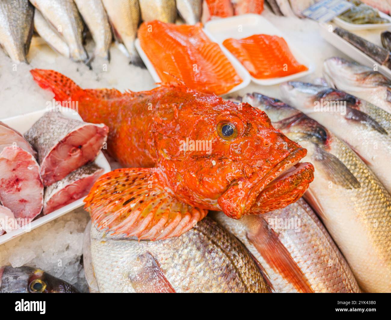 Rockfish and fish assortment on a market stall. Fresh seafood market ...