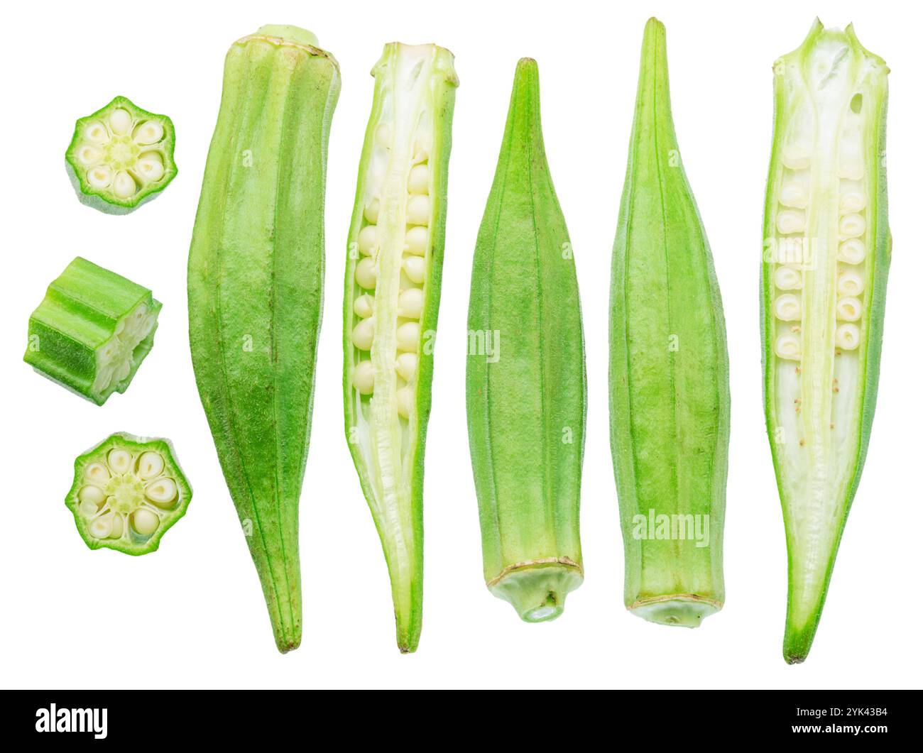Set of okra green seed pods, and longitudinal cut of okra pod. and ...