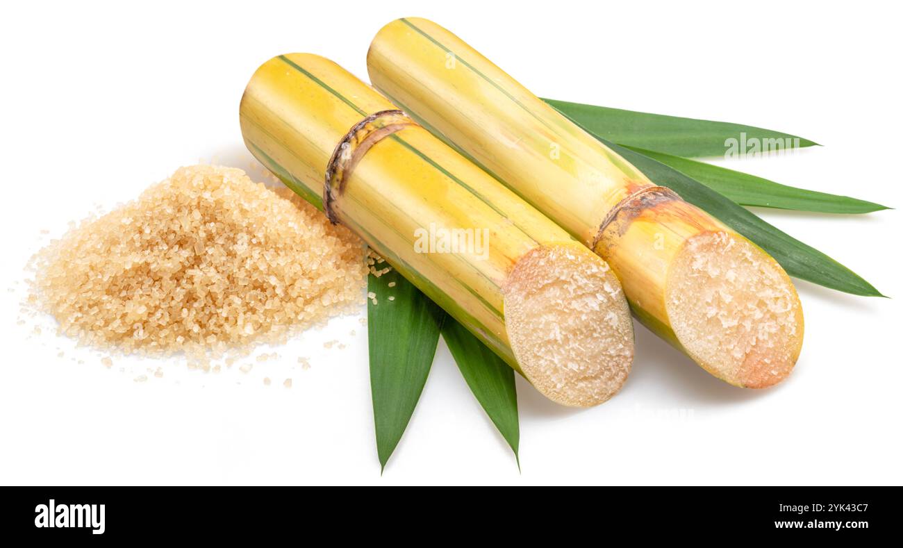 Sugar cane stalks with leaves hi-res stock photography and images - Alamy