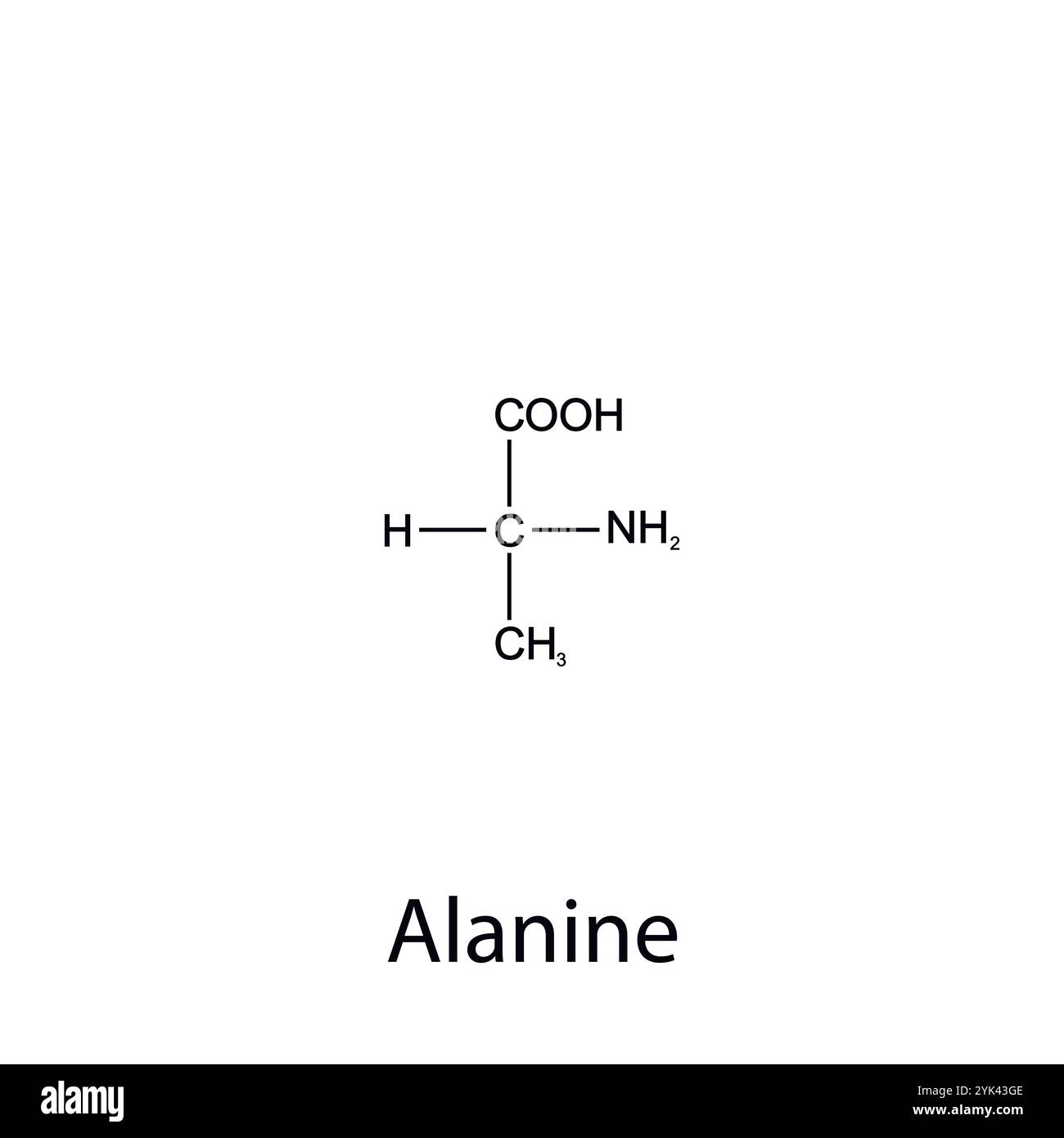 Chemical formula of alanine. Essential amino acids. Organic chemistry. Vector Stock Vector Image ...