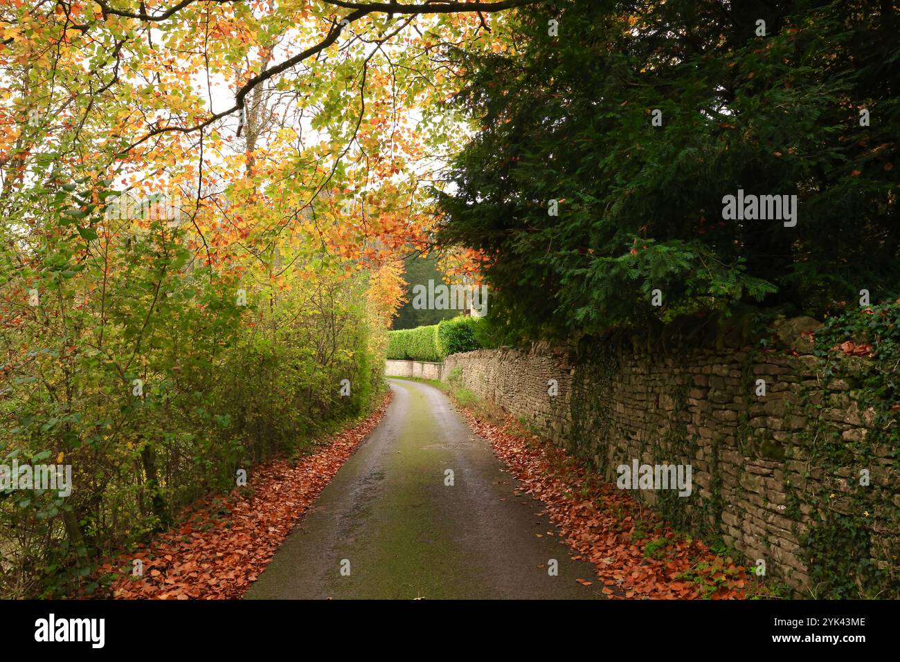 Cotswolds 2024 hi-res stock photography and images - Alamy