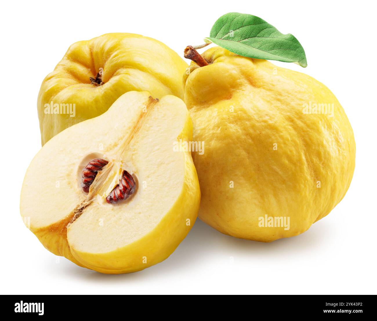 Quinces and longitudinal section of quince, with green leaf on white ...