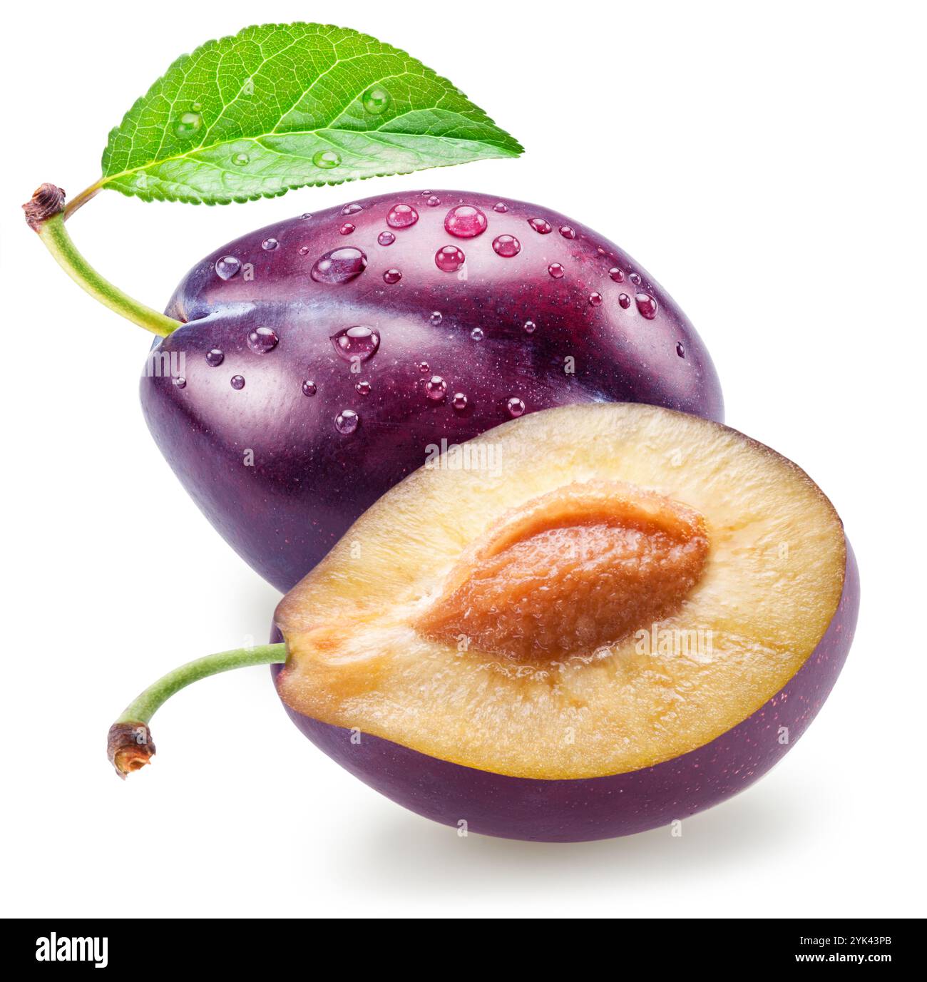 Plum and cut plum with stone and juicy pulp, covered with water drops ...
