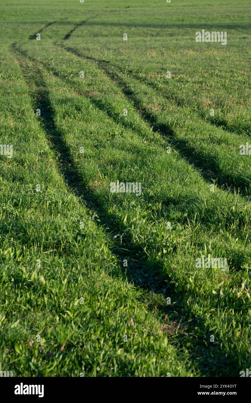 Car trails in the outback of the green meadows of Spilimbergo ...