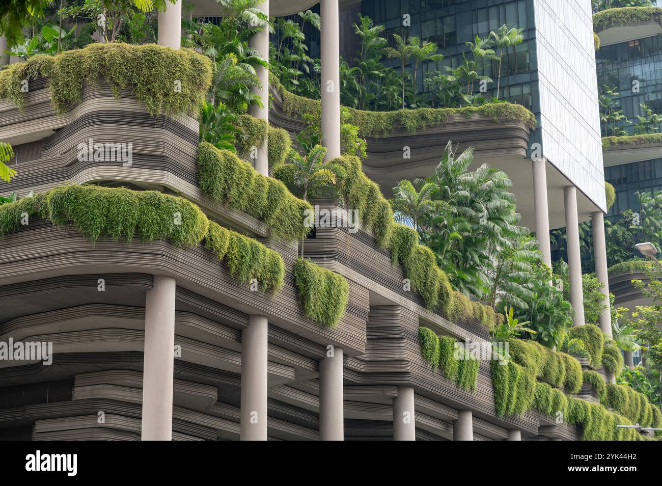 Singapore park royal hotel architecture hi-res stock photography and ...