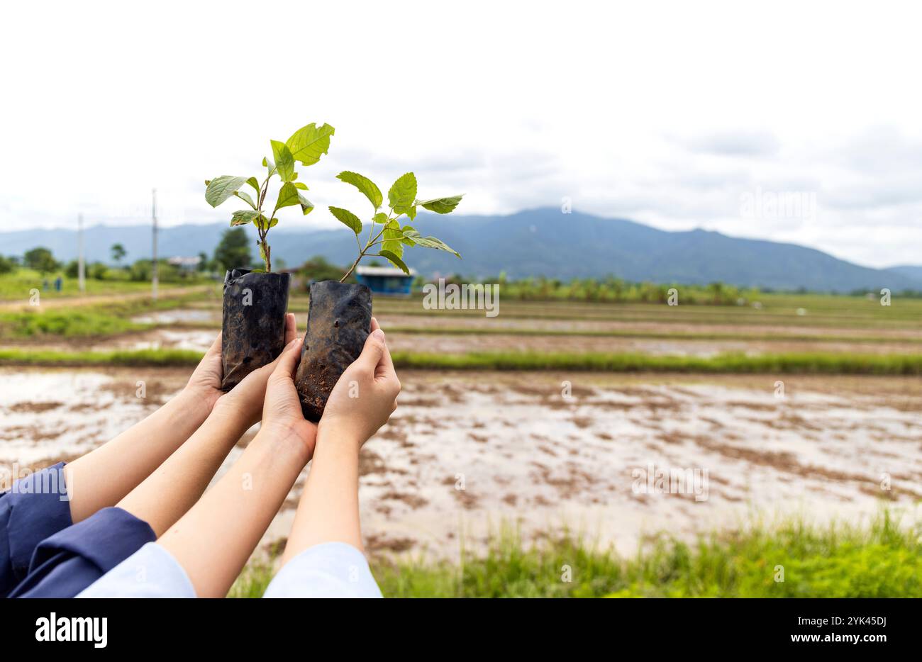 Soil and ecosystem protection hi-res stock photography and images - Alamy