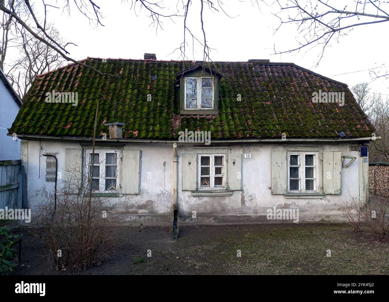 window i am home claw roof moss again welcome sweet warm family house ...