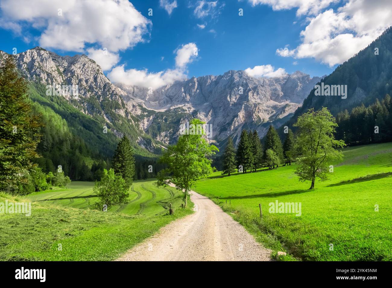 Idyllic green valley with magnificent Alps mountains in Slovenia Stock ...