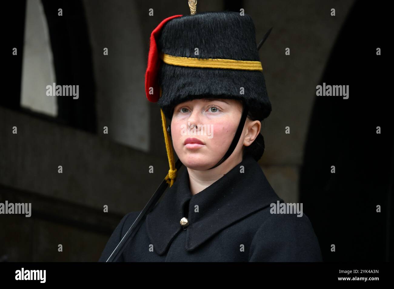 Female Horse Guard, The Kings Troop, Mounted Sentry, Royal Horse ...