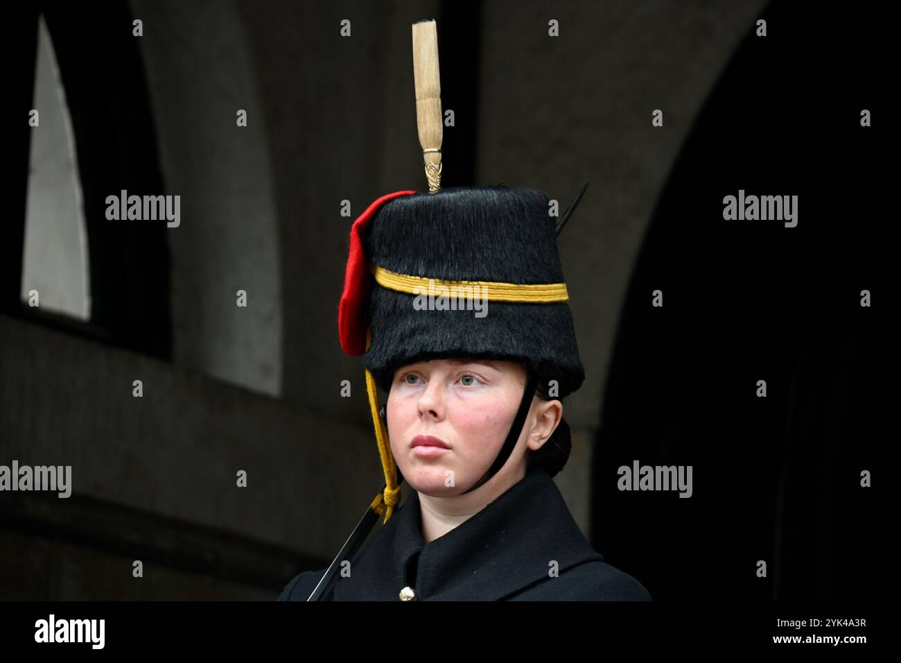 Female Horse Guard, The Kings Troop, Mounted Sentry, Royal Horse ...