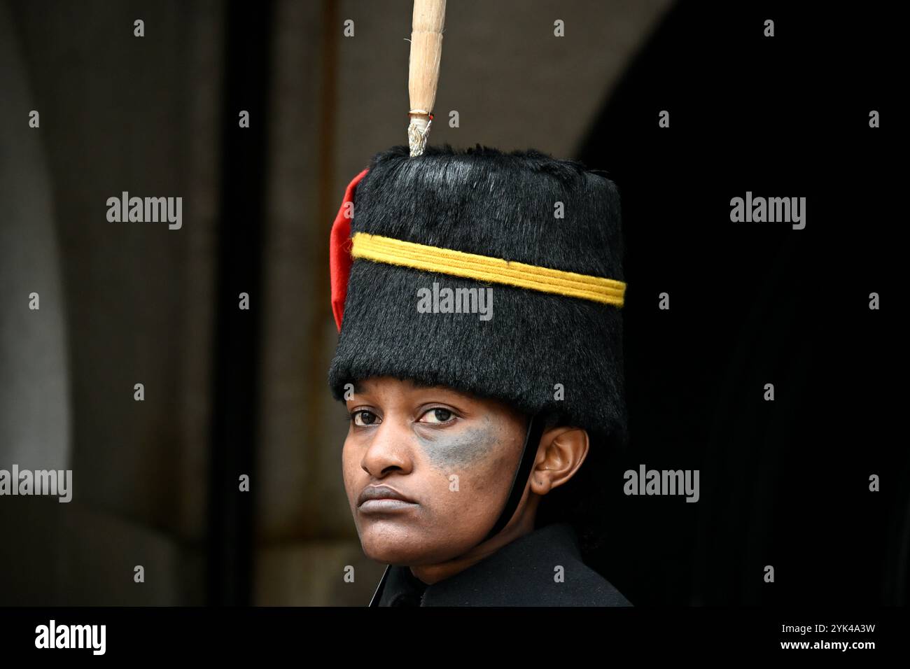 Ethnic Female Horse Guard, The Kings Troop, Mounted Sentry, Royal Horse ...
