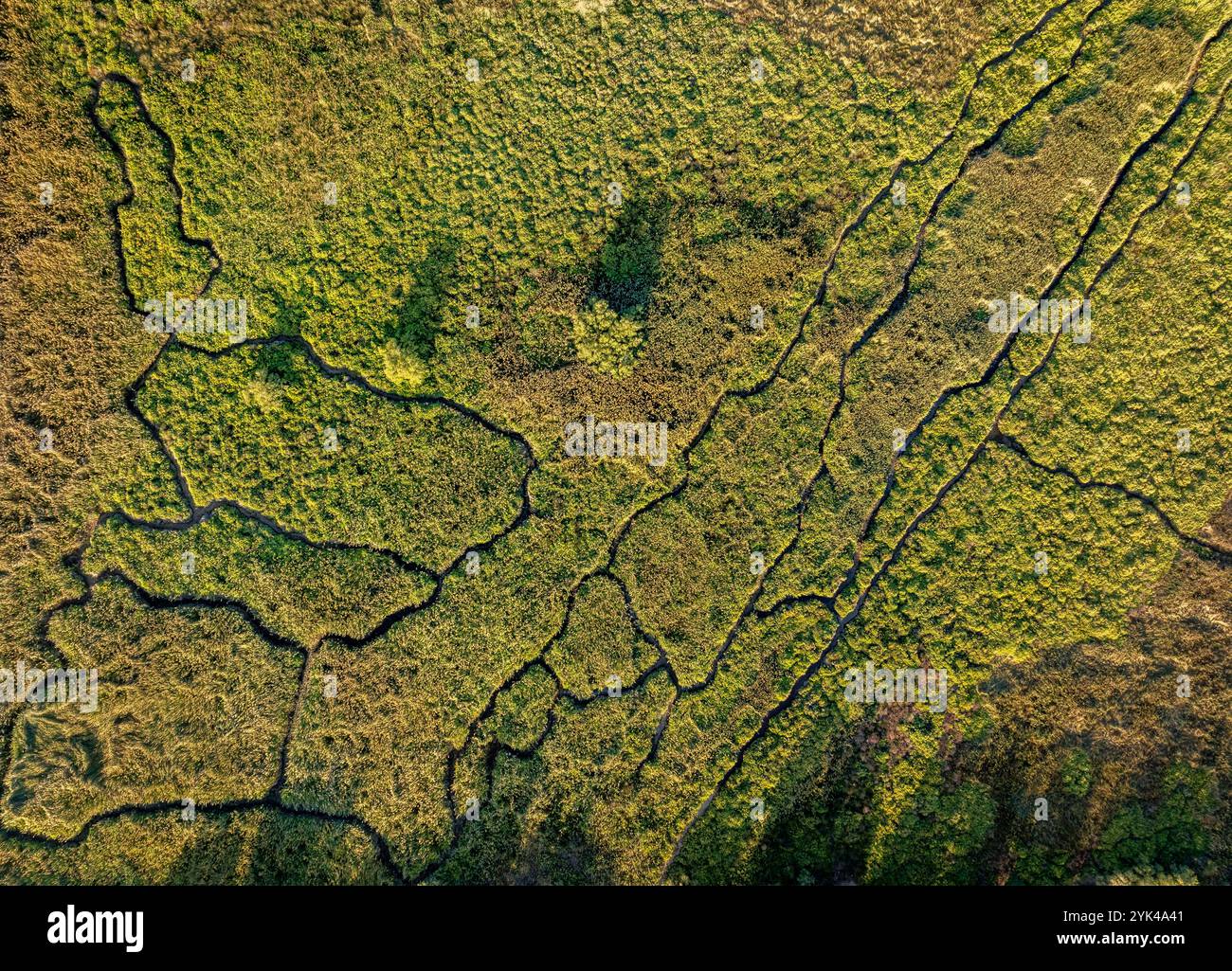 ENG: Aerial view of the Baix Ter wetlands, at the mouth of the Ter ...