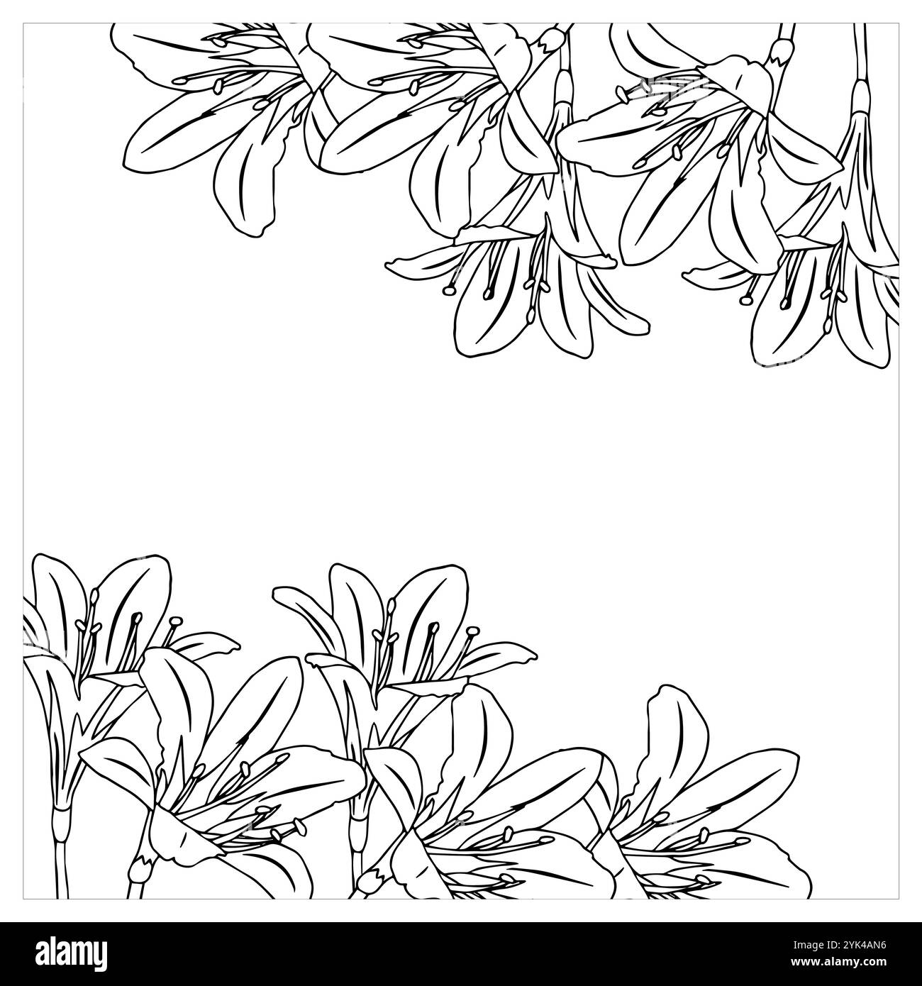 Frame with lilies in doodle style. Element for your design. Vector ...