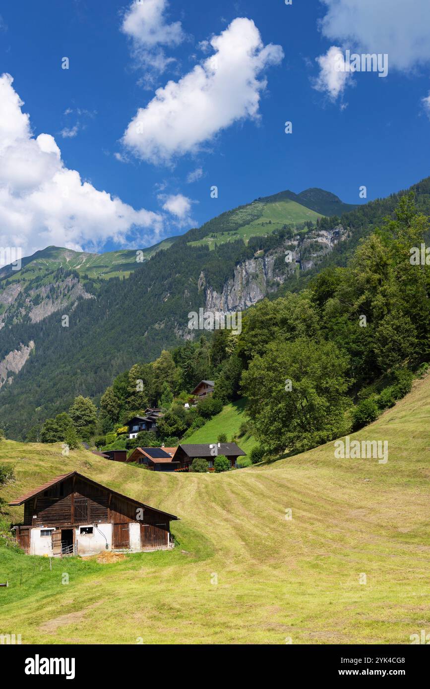 Traditional barn and farmland, Brienz, Switzerland Stock Photo - Alamy