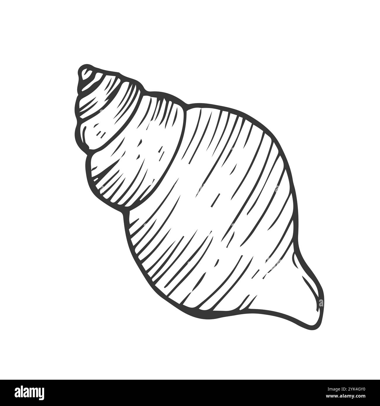 Vector illustration. Set with simple shell silhouettes. Drawing of ...