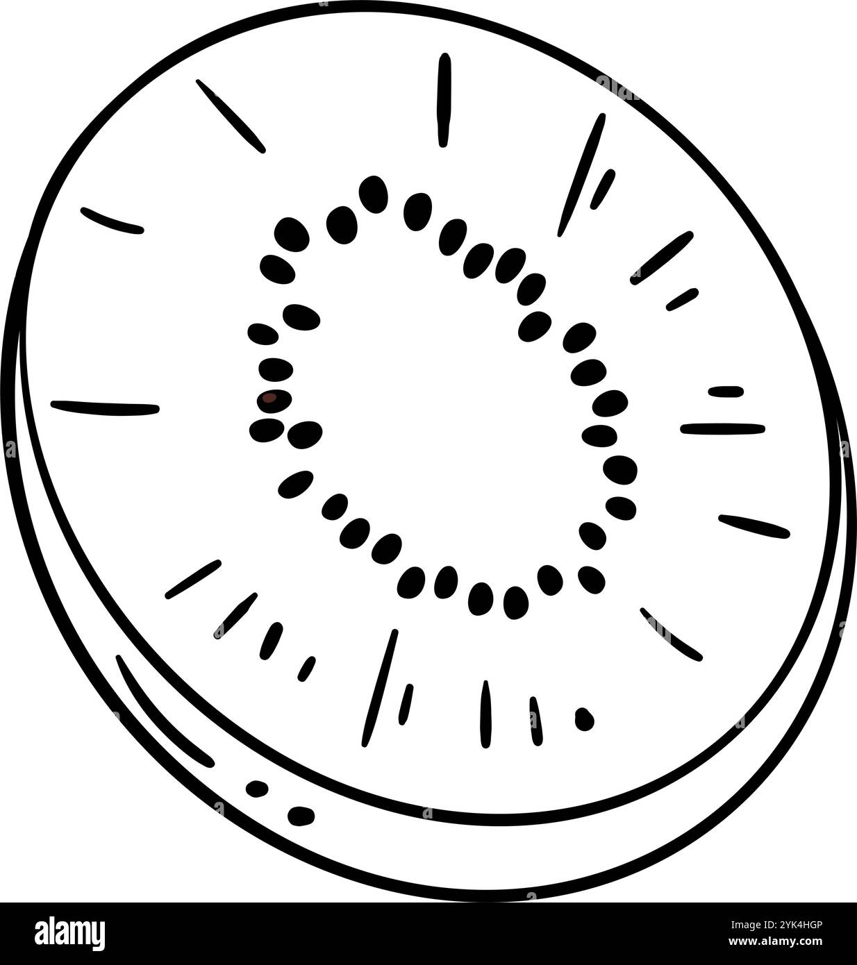 Kiwi Fruit Outline Isolated Illustration Stock Vector Image & Art - Alamy