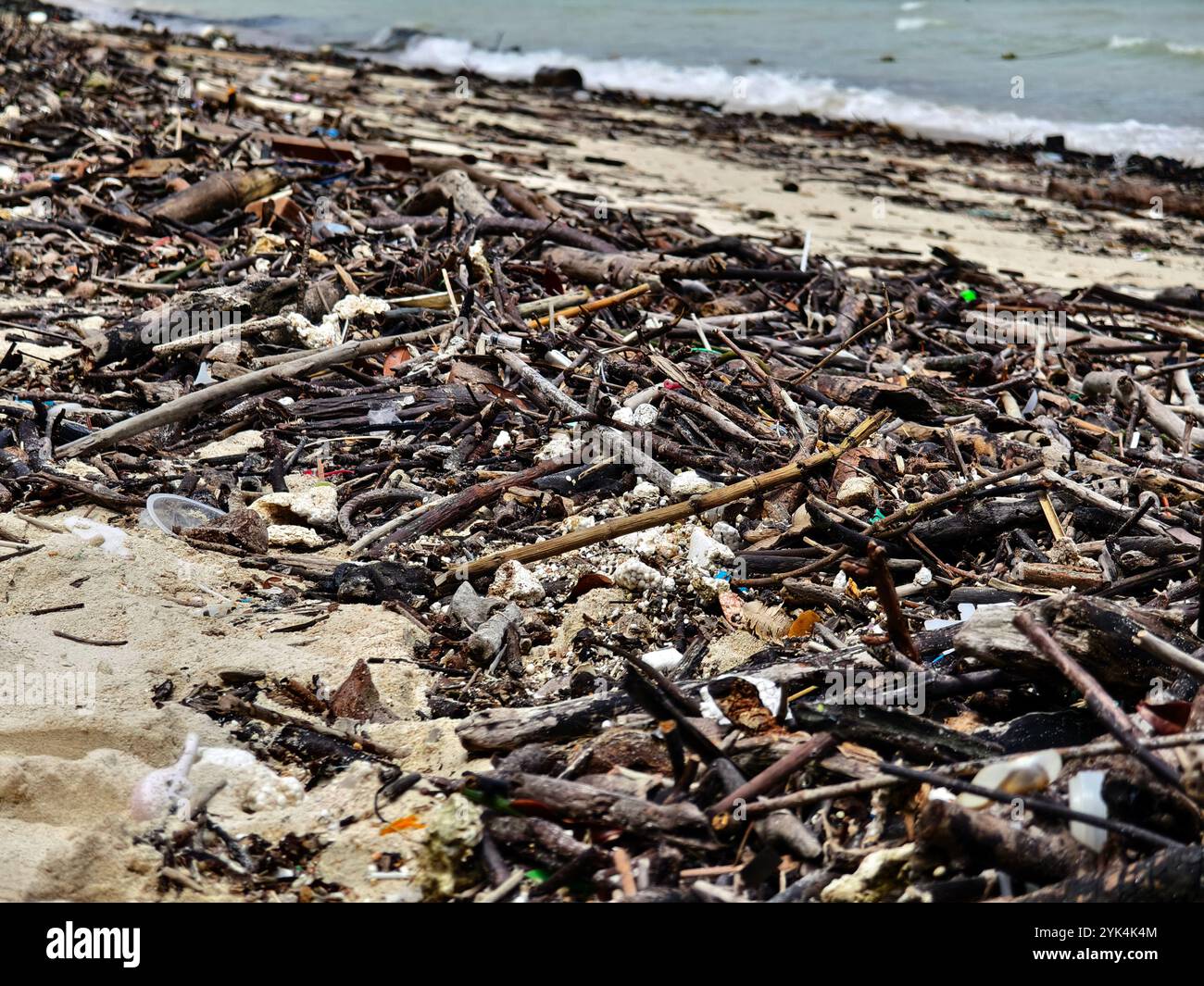 A beach heavily littered with wood and plastic Stock Photo - Alamy