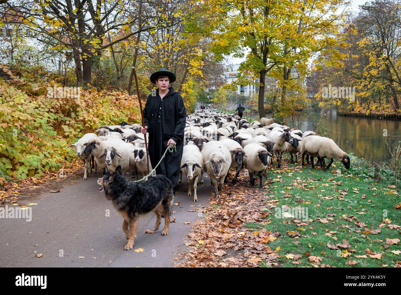 17 November 2024, Bavaria, Nuremberg: Tim Gackstatter, a shepherd in ...