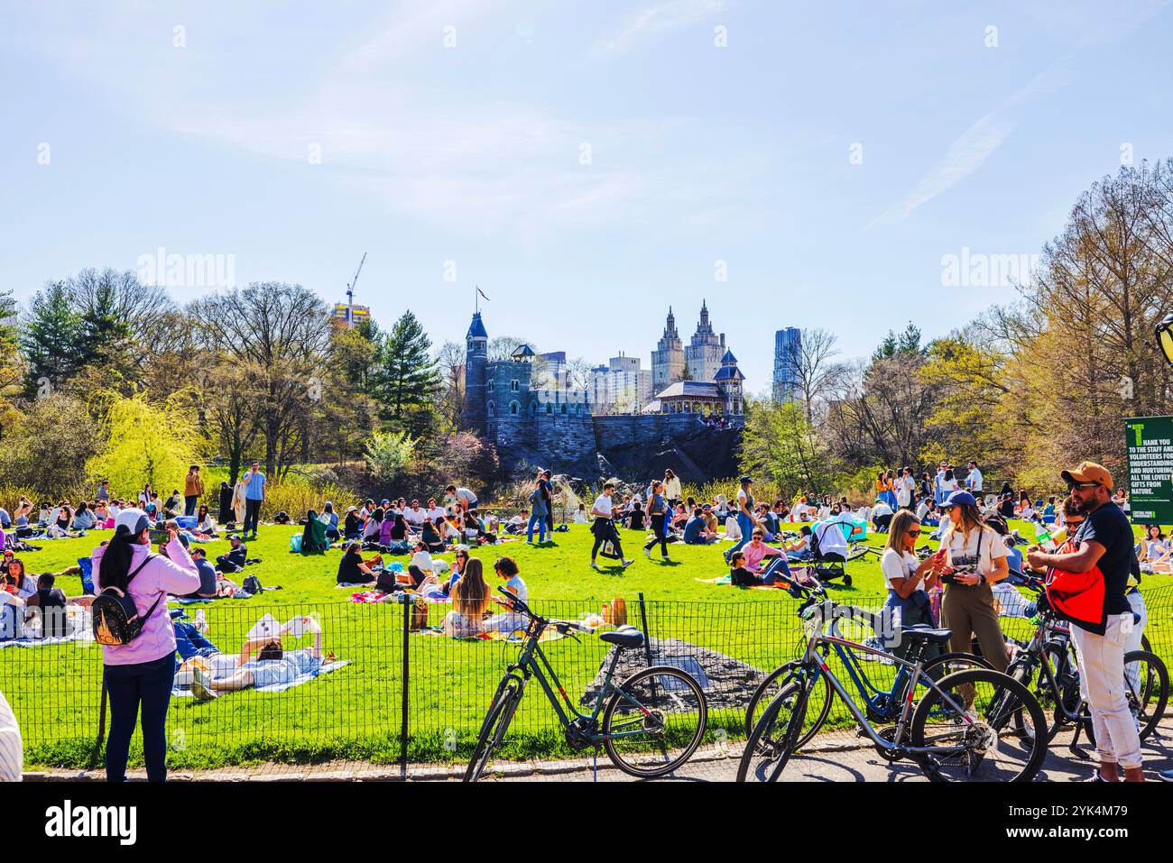 Crowded lawn in Central Park with people enjoying spring weather ...