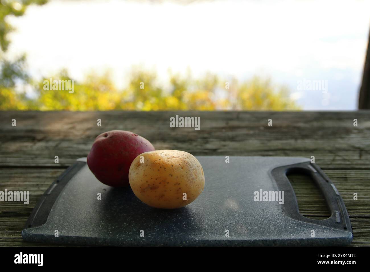 Preparing Red And Gold Potatoes For Open Fire Foil Packs Stock Photo ...