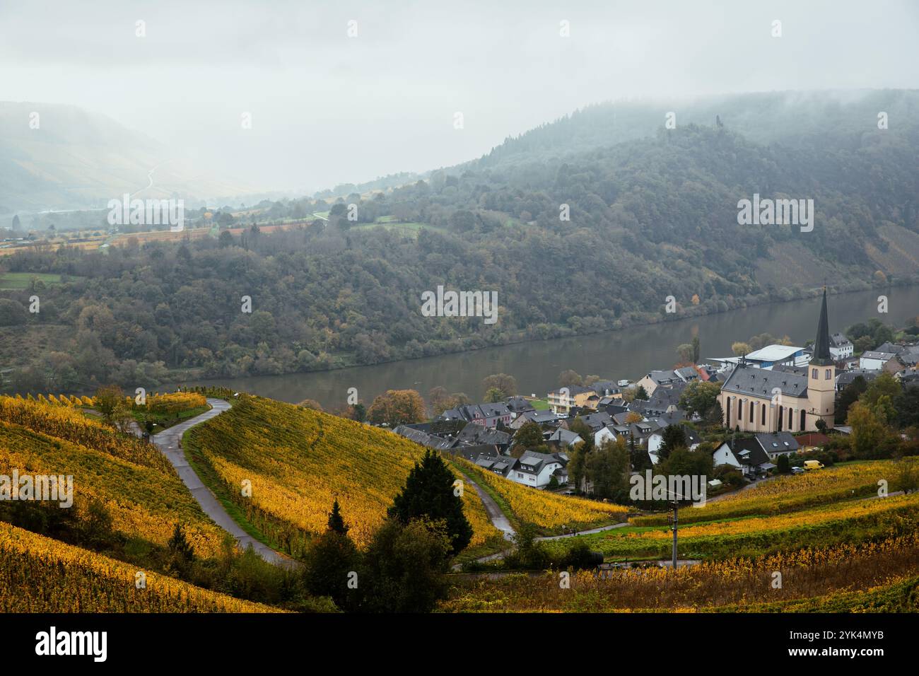 Moselle landscape in colorful autumn colors and the village kroev ...