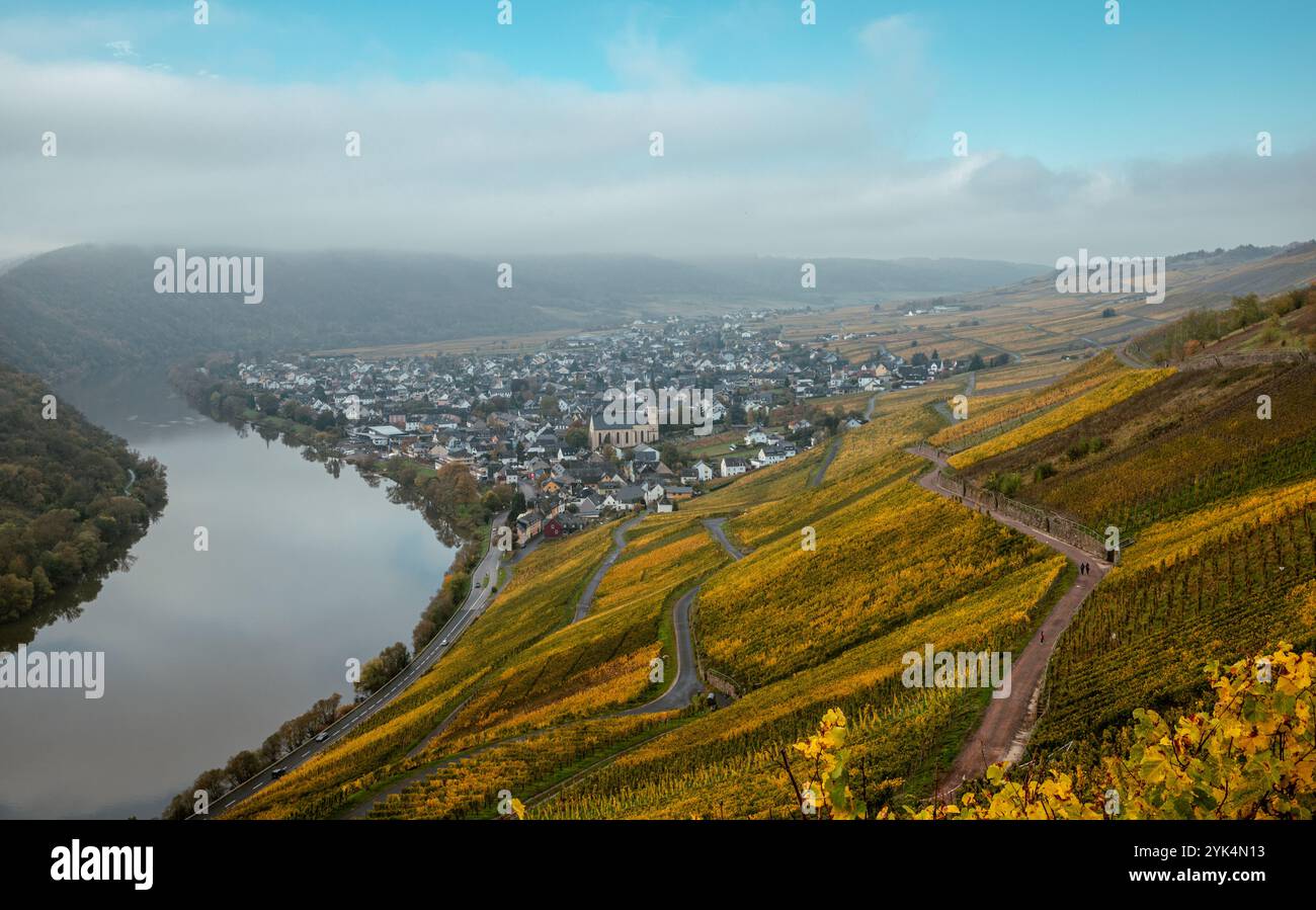 Moselle landscape in colorful autumn colors and the village kroev ...