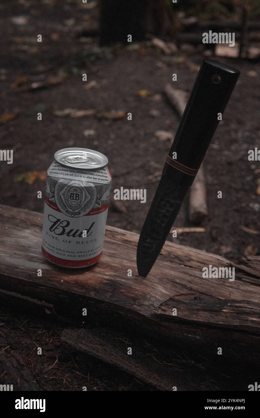 Bushcraft campfire cooking in the forest Stock Photo - Alamy