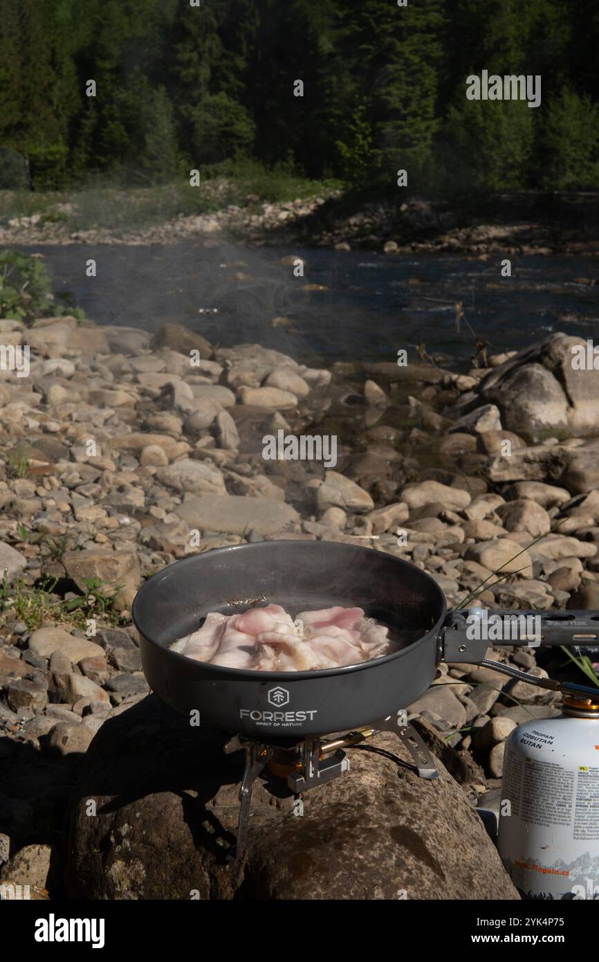 Bushcraft campfire cooking in the forest Stock Photo - Alamy