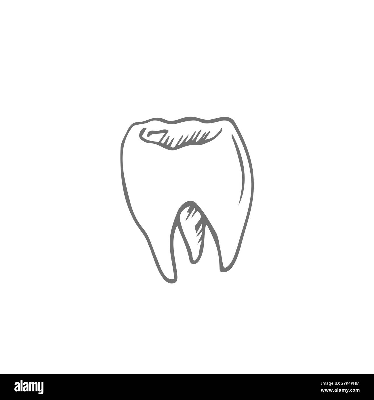 doodle hand drawn outline tooth Stock Vector Image & Art - Alamy