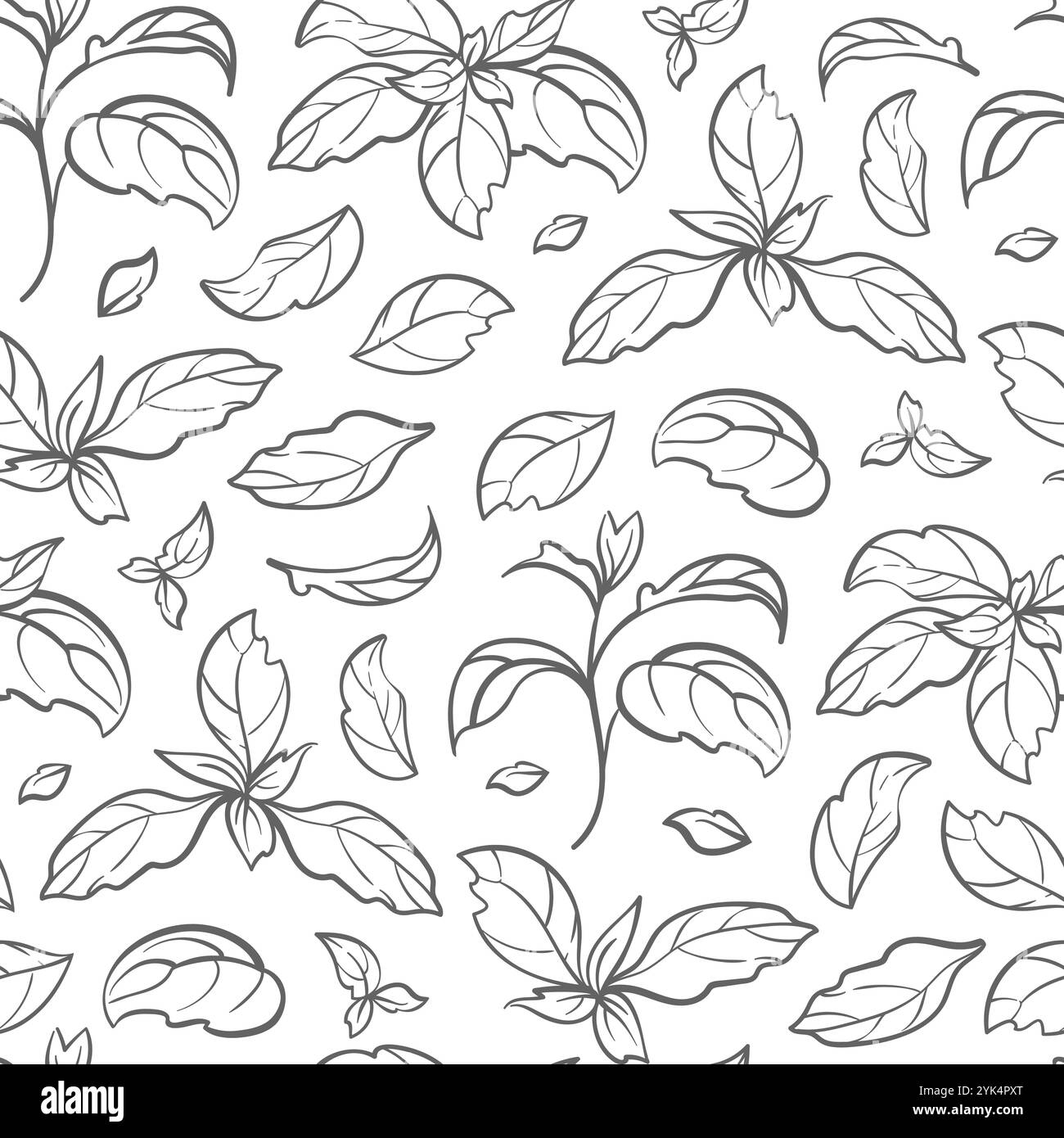 Basil seamless pattern, vector image of isolated leaves. This woodcut style illustration shows a ...