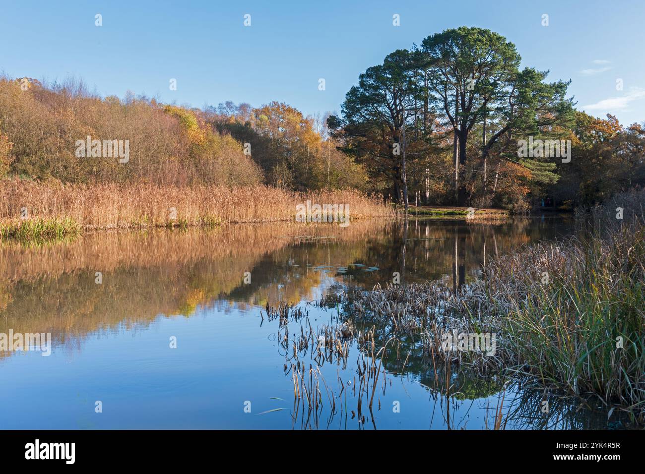 the Ornamental Lake on Southampton Common Stock Photo - Alamy