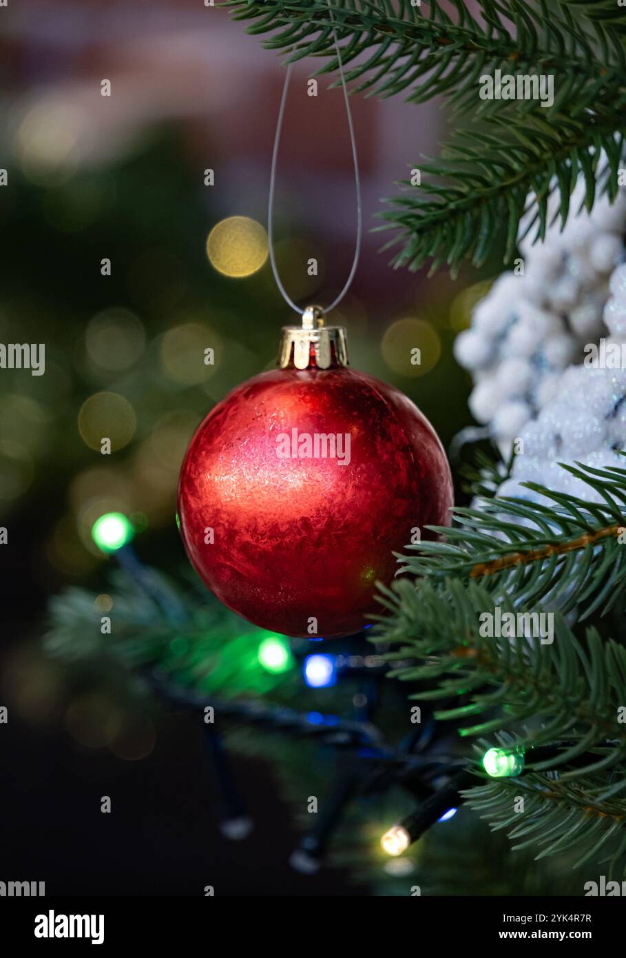 Red Christmas ball hanging from a Christmas tree Stock Photo - Alamy