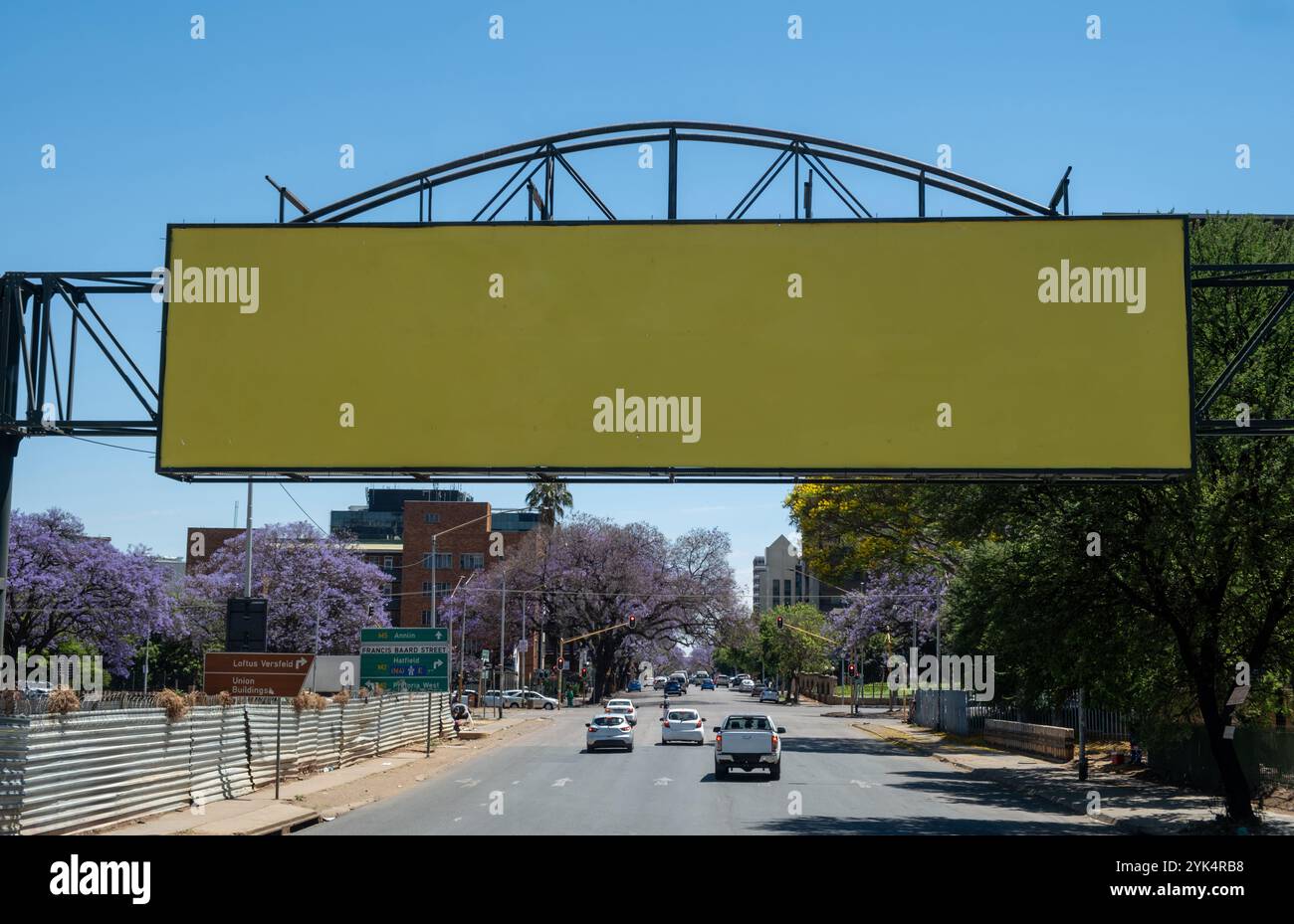 Jacaranda trees blooming over road hi-res stock photography and images ...
