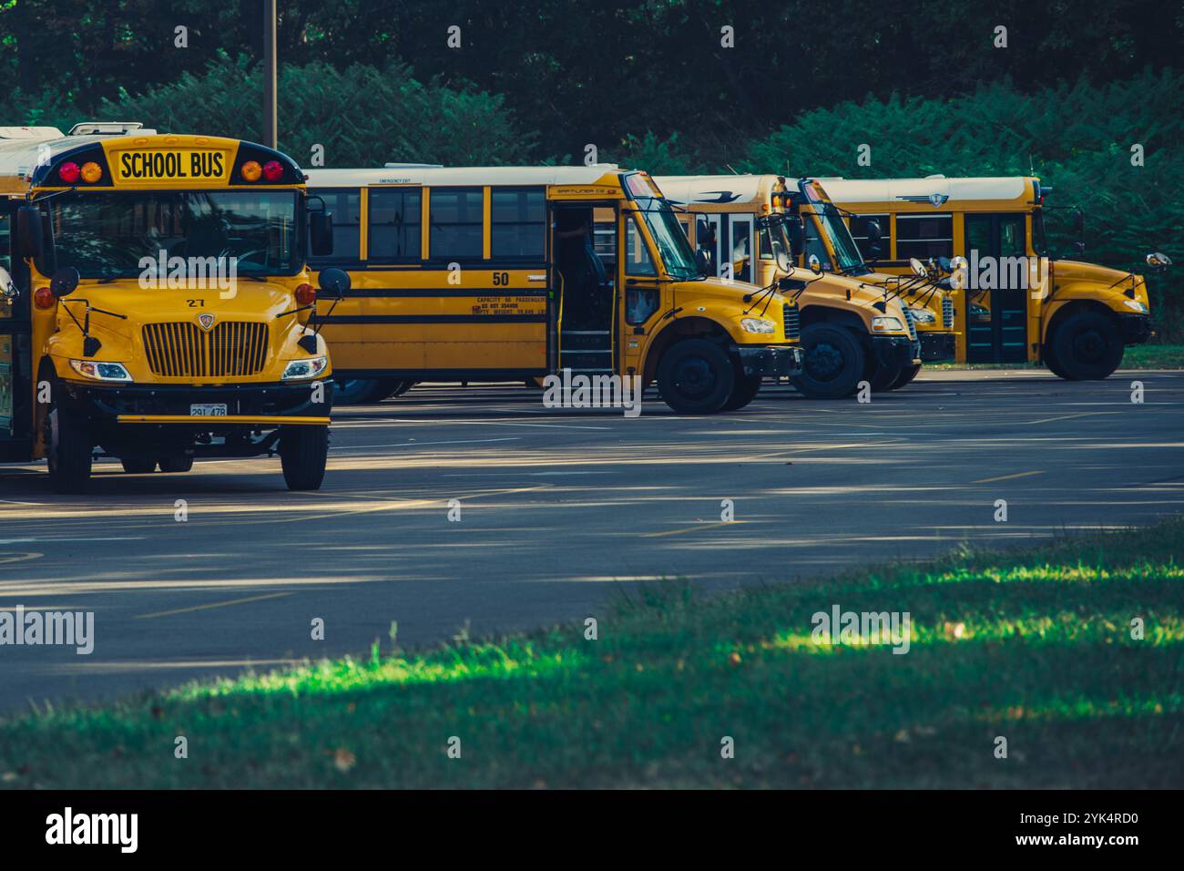 Madison County, IL—Sept 21, 2024; yellow school buses parked on ...
