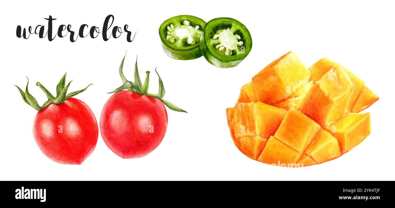 Hand-Painted Watercolor Mango, Cherry Tomatoes, and Jalapeno ...